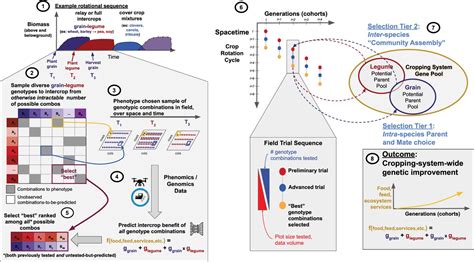 Frontiers Multi Species Genomics Enabled Selection For Improving Agroecosystems Across Space