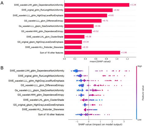 Application Of Interpretable Machine Learning Models Based On