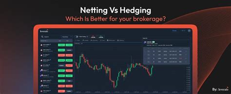 What Sets Netting And Hedging Position Accounting Models Apart In Brokerage Fx News Group