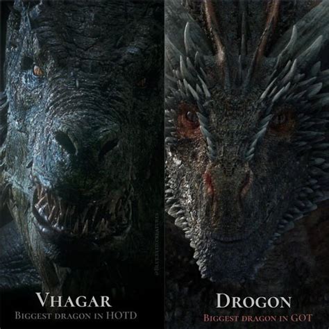 Dragon Comparison Balerion The Black Dread Size Dragon Sizes House Of The Dragon Game Of