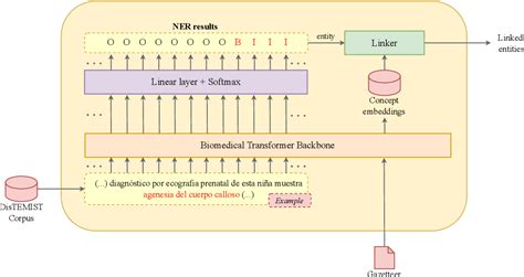 Figure 1 From Biomedical Spanish Language Models For Entity Recognition And Linking At Bioasq