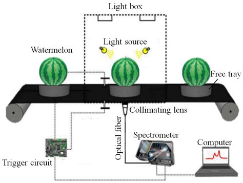Research Progress On Non Destructive Detection Of Internal Quality Of