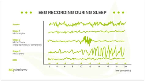 Bioptimizers Sleep Breakthrough