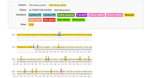 Ensembl 81 Has Been Released Ensembl Blog