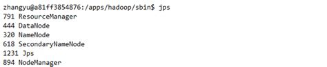 hadoop shell基本操作 大章鱼版 章鱼hadoop实验机怎么用 csdn博客
