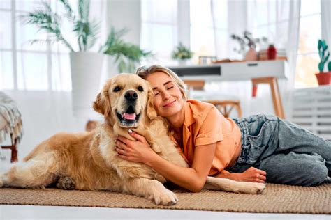 Hoe Oud Wordt Een Hond Smuldier