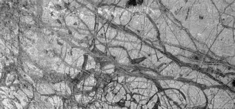 Jupiter Europa Icy Moon Ocean Britannica