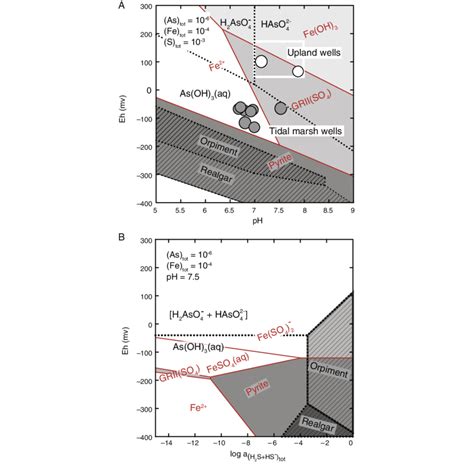 Equilibrium Phase Relations Calculated For Total Element Activities