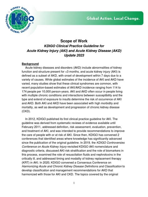Kdigo Aki Akd Guideline Scope Of Work 2023 Final Pdf Diseases And