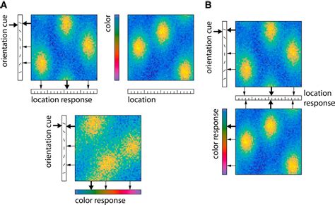 neural architecture for feature binding in visual working memory journal of neuroscience