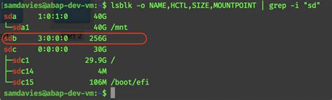 Install Abap Platform 1909 Dev Edition On An Azu Sap Community