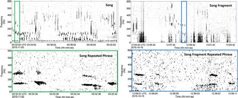 Color Online Spectrograms Depicting Examples Of Phrases Observed In