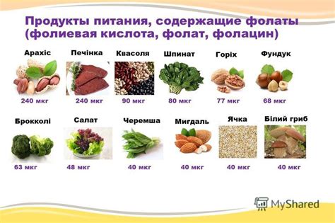 Презентация на тему: "Эволюция фолатов: от фолиевой кислоты к ...