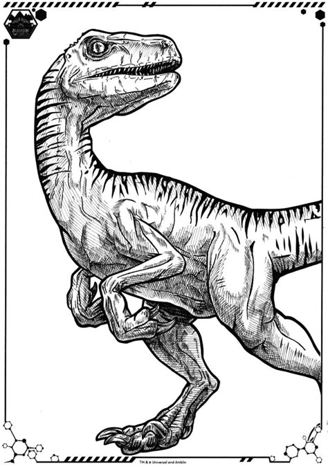 Jurassic World Raptor Coloring Pages 2025