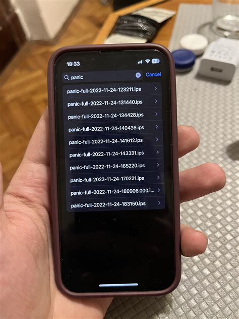 Hi Please Help Panic Full Logs Text Is In The Comment Riphone13mini