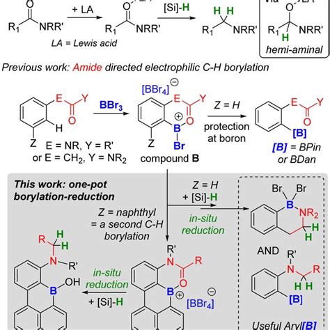 Previous Work On Lewis Acid Catalysed Amide Reduction Top Amide