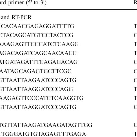 Sense And Antisense Primers Download Table