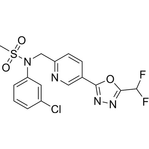 Hdac In 58 Hdac Inhibitor Medchemexpress