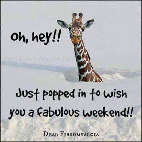 Pin By Janayna Alencar On So Beautiful Shop Weekend Quotes Long