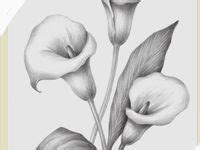 Discover 37 Flower Shading And Flower Art Drawing Ideas Sunflower Drawing With Graphite