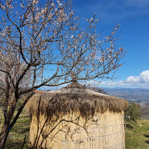 Etleva Pushi On Linkedin Berat Albania