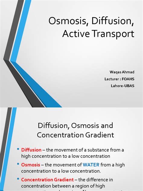 Lecture 3 Osmosis Diffusion Pdf Osmosis Cell Membrane