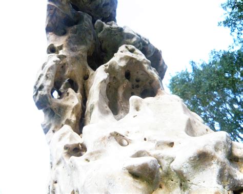 Scholar Rock Assignment Niaraquel