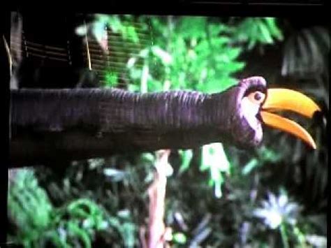 George Of The Jungle Bird