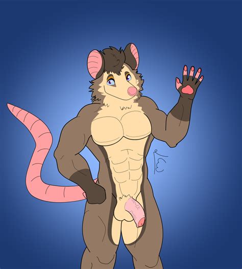 Rule 34 Absurd Res American Opossum Anthro Balls Foreskin Genitals Gesture Hi Res Karurvn Male