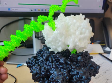 Nanopore Sequencing Model Resized Remixed By Jess Mclaughlin Makerworld