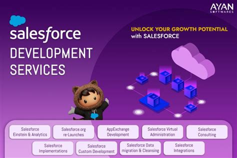 Ayan Softwares On Linkedin Salesforce Salesforcedevelopment Crm