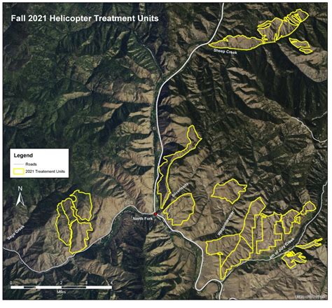 Cheatgrass Challenge Defends Native Core Habitat In Idaho Idaho