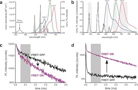 Photophysical Properties Of The Fret Assays A Absorbance Spectra Download Scientific Diagram