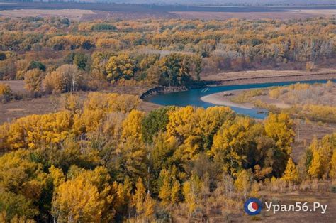 Александр Самбурский: – В 2022 году в Оренбургской области было ...