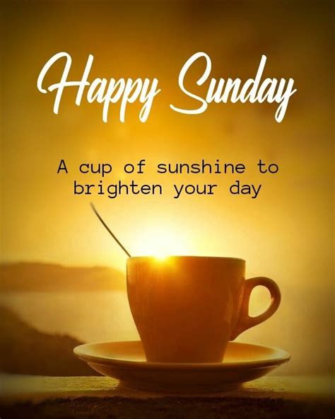 A Cup Of Sunshine To Brighten Your Day Happy Sunday Pictures Photos