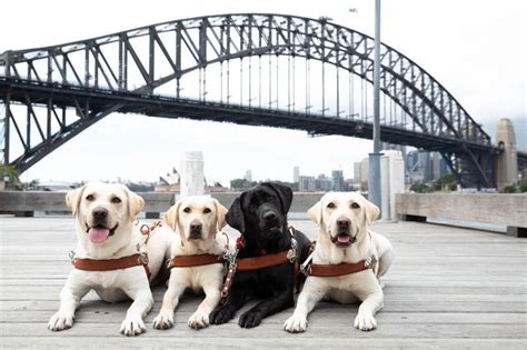 Gdnsw Employmentopportunity Bestteam Hannah M