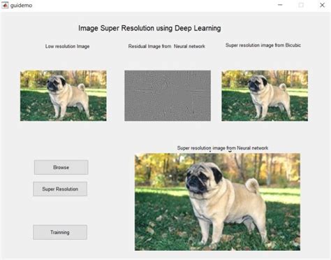 Bird Species Identification Using Deep Learning Deep Learning Project Matlab