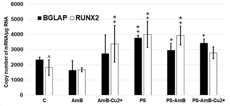 the mrna levels of osteoblastic markers bglap and runx2 in the adsc