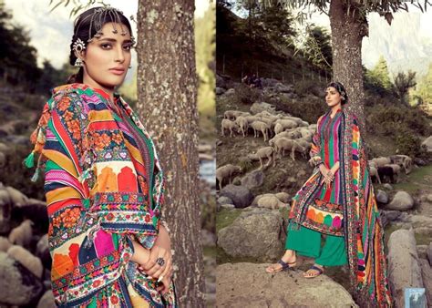 Silky Pashmina Winter Collection