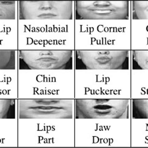 Action Units Of Traditional Fer System Download Scientific Diagram