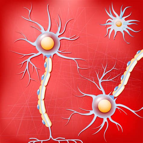 Microglia Illustrations Royalty Free Vector Graphics And Clip Art Istock