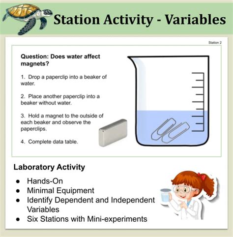 Identifying Variables Lab Station Activity By Biologycorner TPT