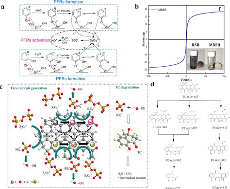 Figure 3 From A Mini Review On Persulfate Activation By Sustainable Biochar For The Removal Of