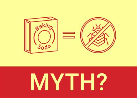 Does Baking Soda Kill Bed Bugs Dodson Pest Control
