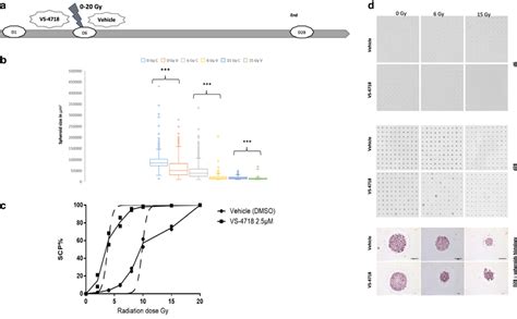A Timeline Of The Multicellular Experiment D0 Cell Mixture