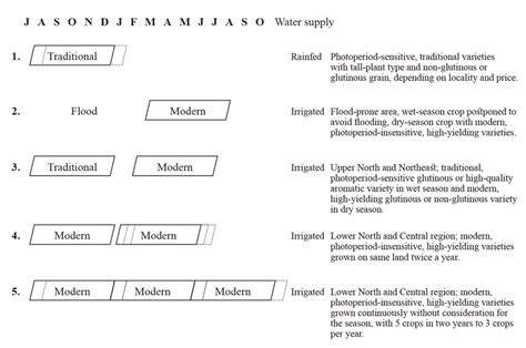Main Rice Cropping Patterns In Thailand Download Scientific Diagram