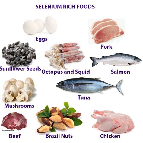 Food Sources Of Selenium Include At Charles Amos Blog Food Sources Of Selenium Include At Charles Amos Blog