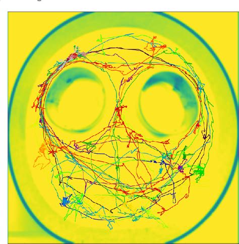 Topology Of Cognitive Maps Paper And Code Catalyzex