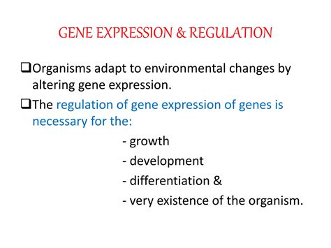 Gene Expression And Regulation Pptx