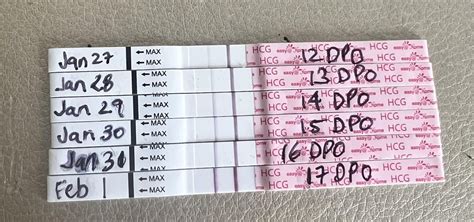 Hcg Progression Rtryingtoconceive